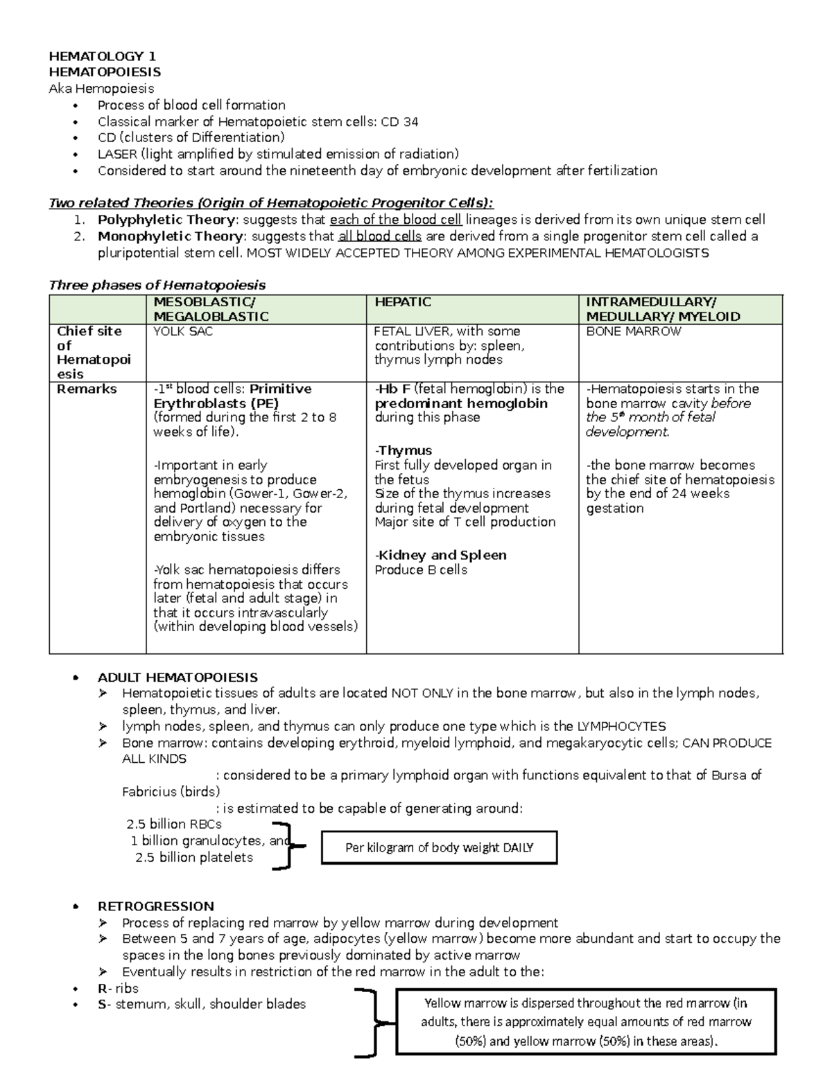 Hematology 1: Hematopoiesis and Blood Cell Formation Overview - Studocu