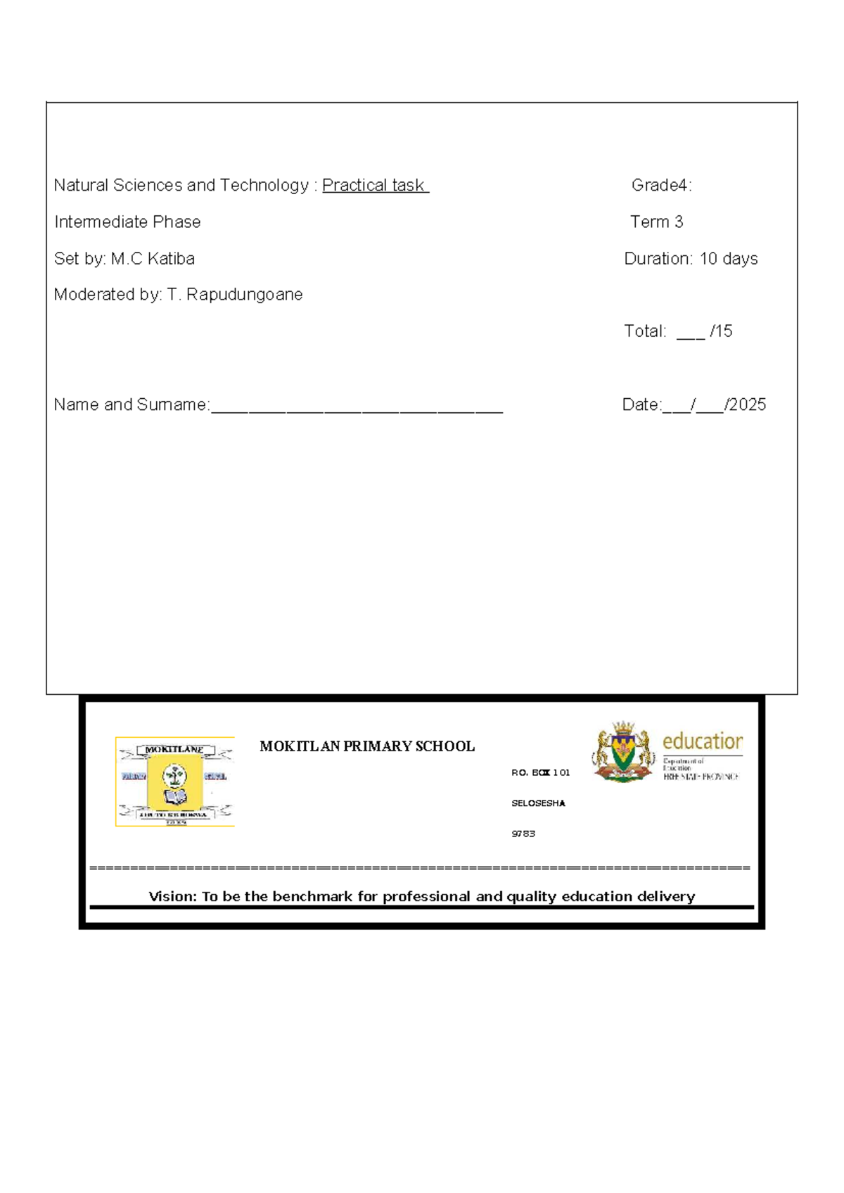 Grade 4 NST Practical Task: Design a Musical Instrument - Studocu
