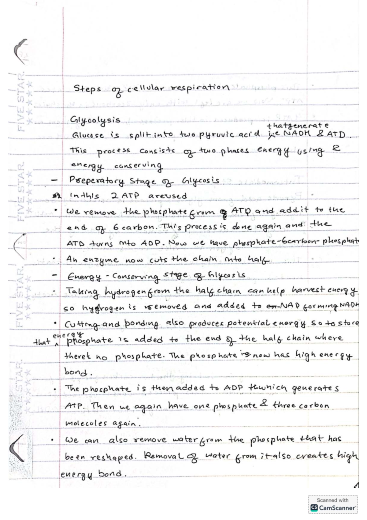 Assignments of Chapter 5: Cellular Respiration Overview - Studocu