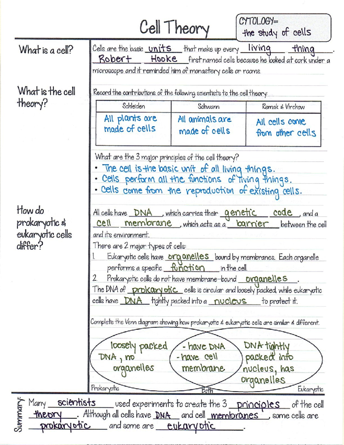 Cell Theory: Prokaryotic & Eukaryotic Cells Overview - Studocu