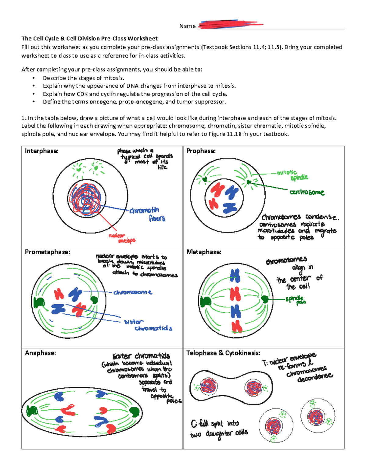 Week 10b Pre-Class Reading Guide: The Cell Cycle & Division Worksheet ...