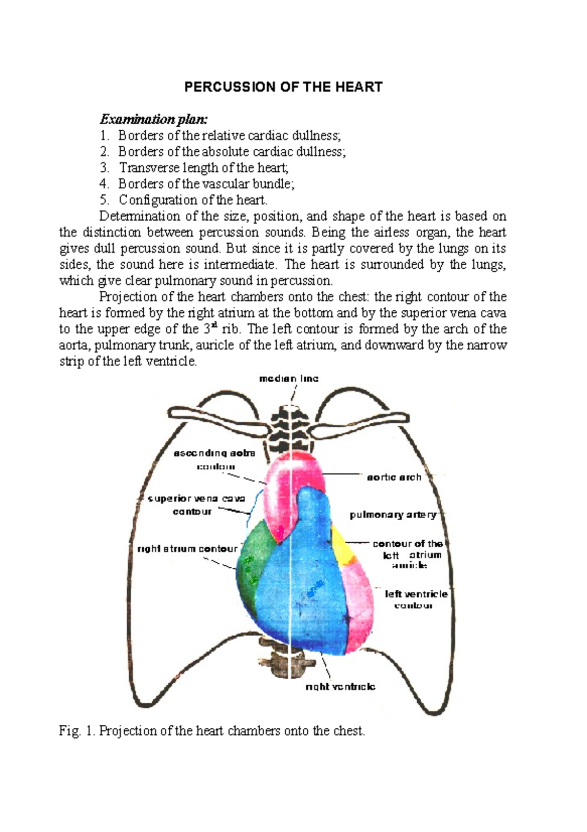 Topic 10 CVS - Percussion of the Heart Study Notes - Studocu