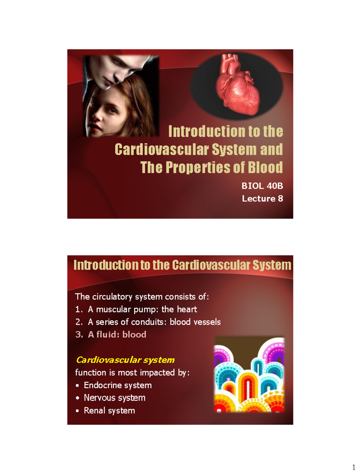 BIOL 40B Lecture 8: Overview of the Cardiovascular System and Blood ...