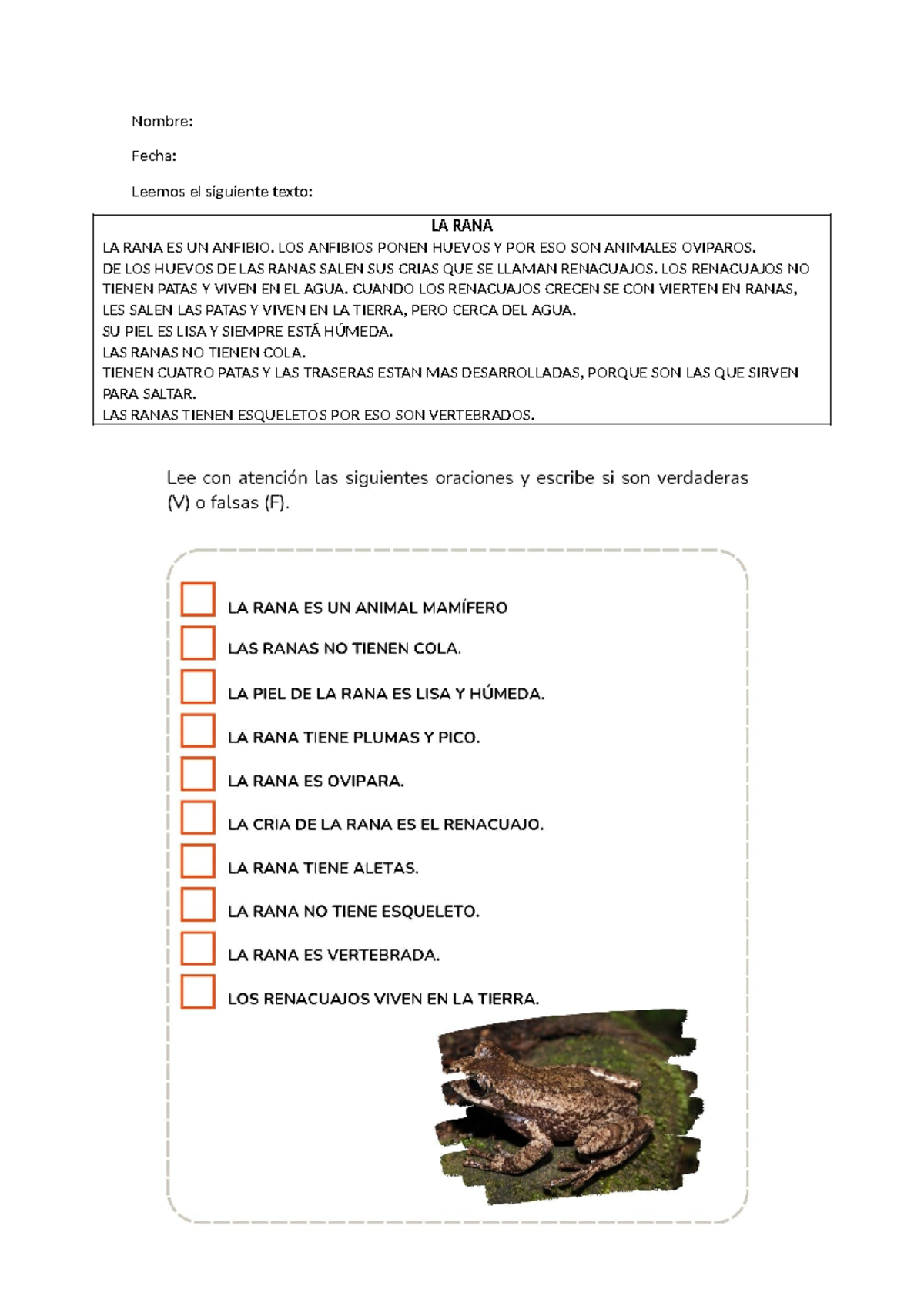 Actividades RANA - Trabajo Práctico sobre el Ciclo de Vida de la Rana ...