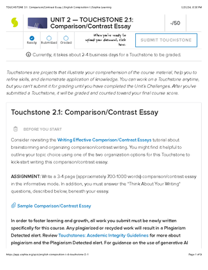 Touchstone 2.2 Sample Definition Essay Draft - Are you ready to write ...