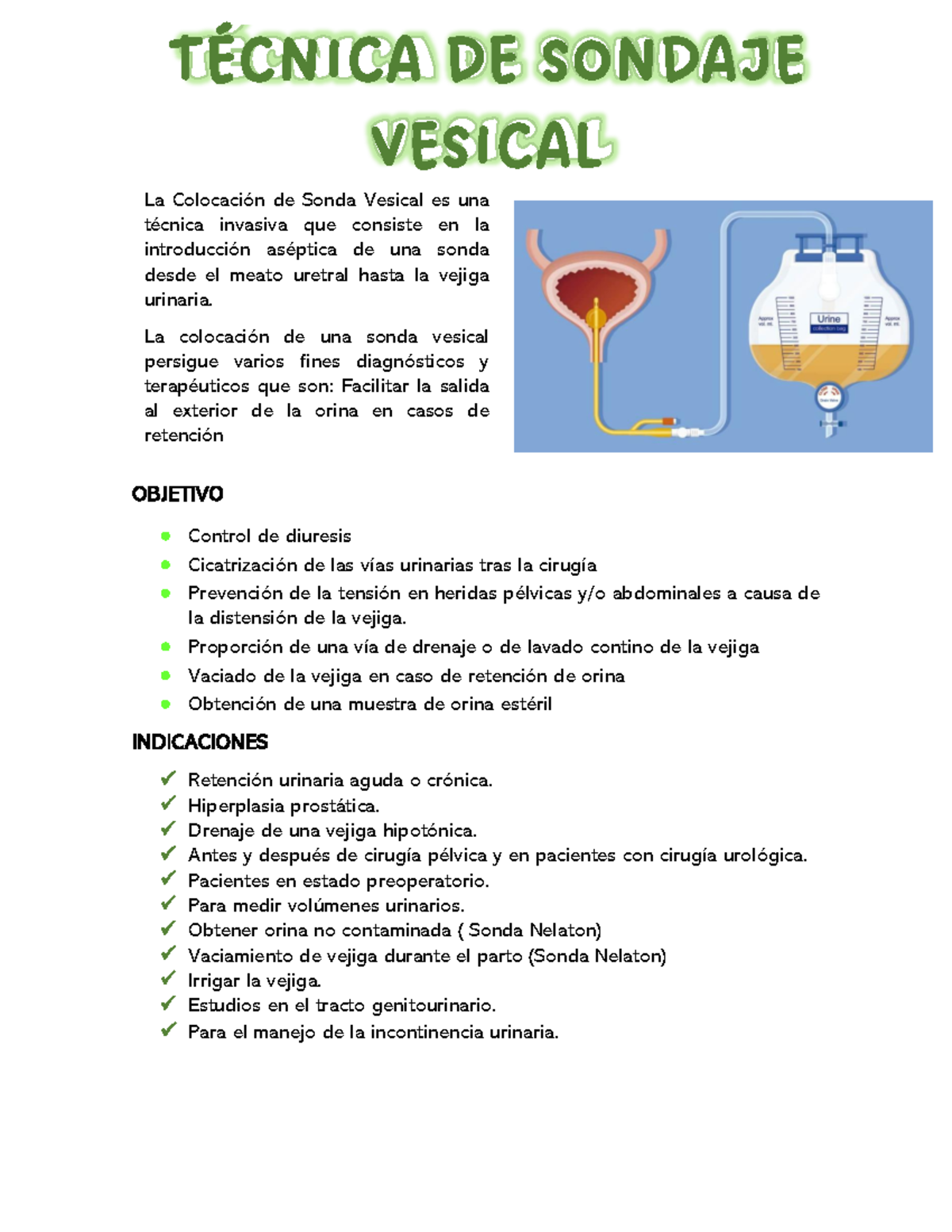Tecnica DE Sondaje Vesical - OBJETIVO Control de diuresis CicatrizaciÛn ...