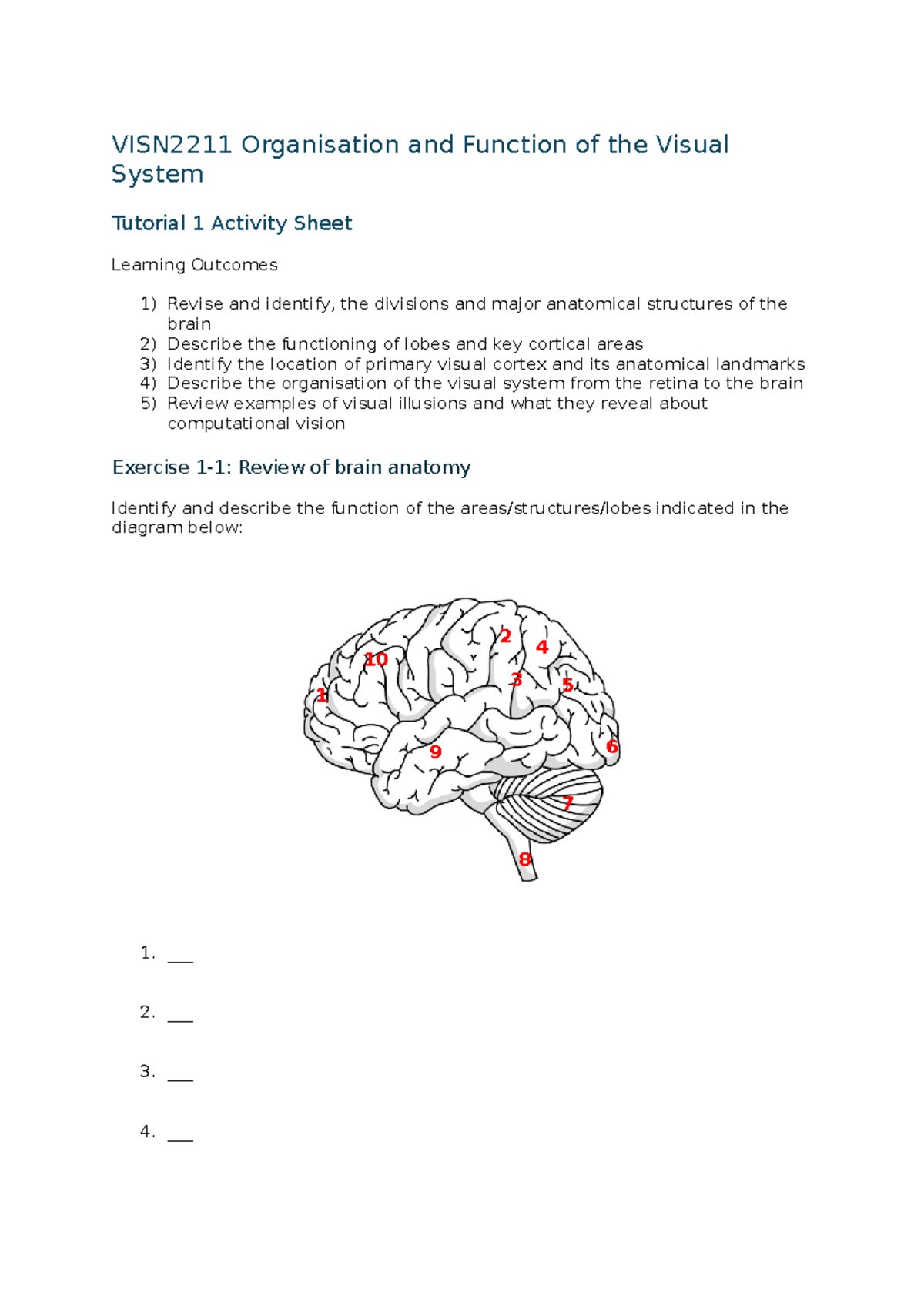 VISN2211 Tutorial 1: Visual System Anatomy & Function Worksheet - Studocu