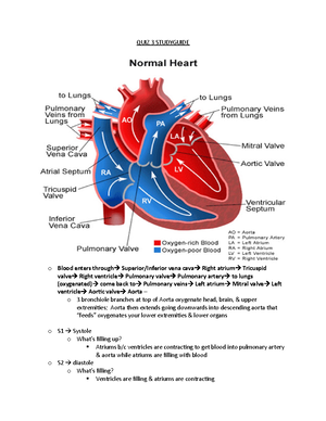 ATI System Disorder Gastroenteritis - ACTIVE LEARNING TEMPLATES System ...