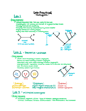 [Solved] In the conservatory exercises you learned about the tapeworm ...