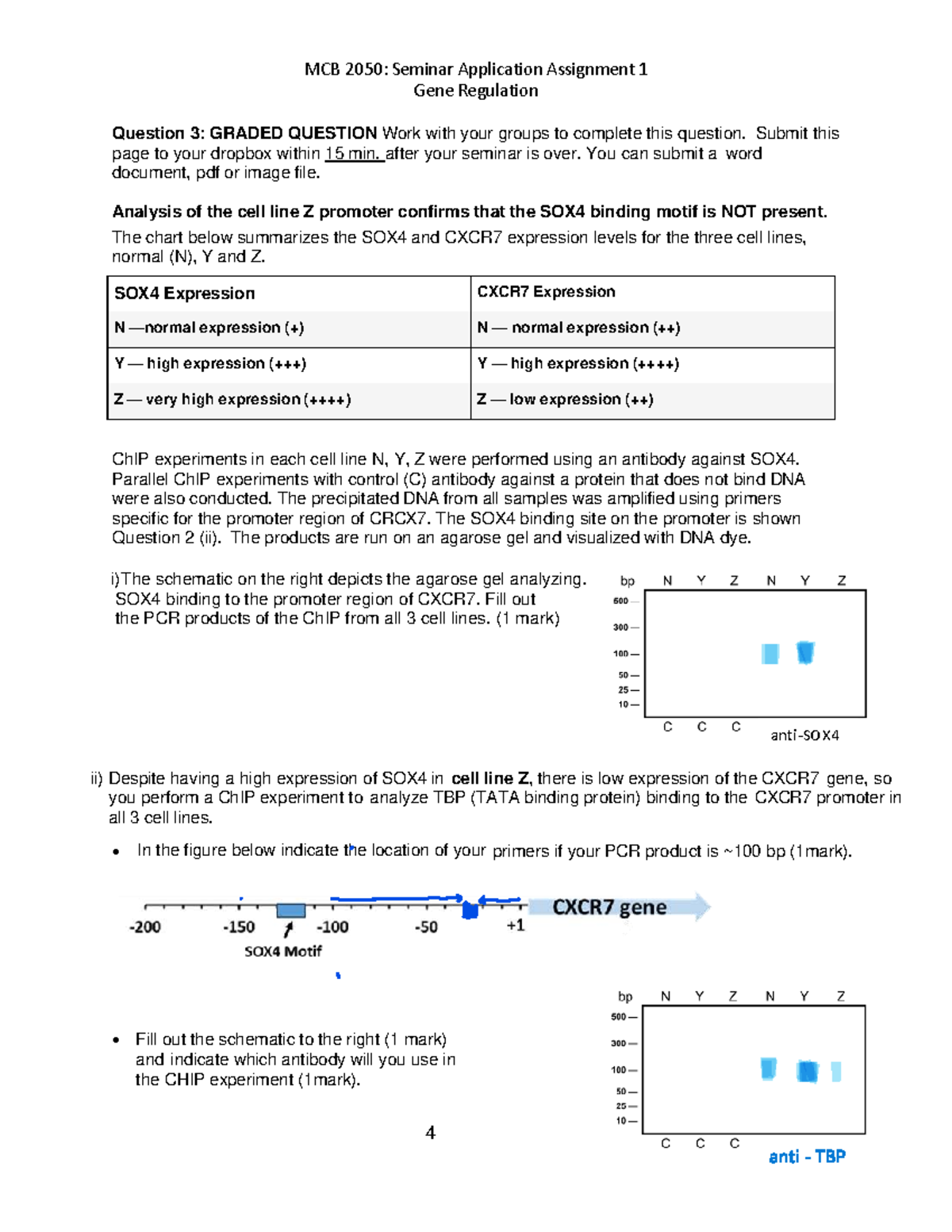 MCB 2050: Seminar Assignment 1 - Gene Regulation Analysis - Studocu