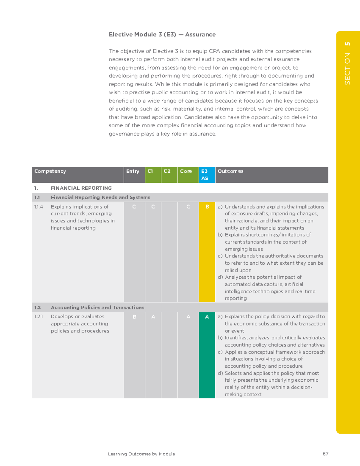 Elective Module 3 (E3) Assurance: CPA Competency Overview - Studocu