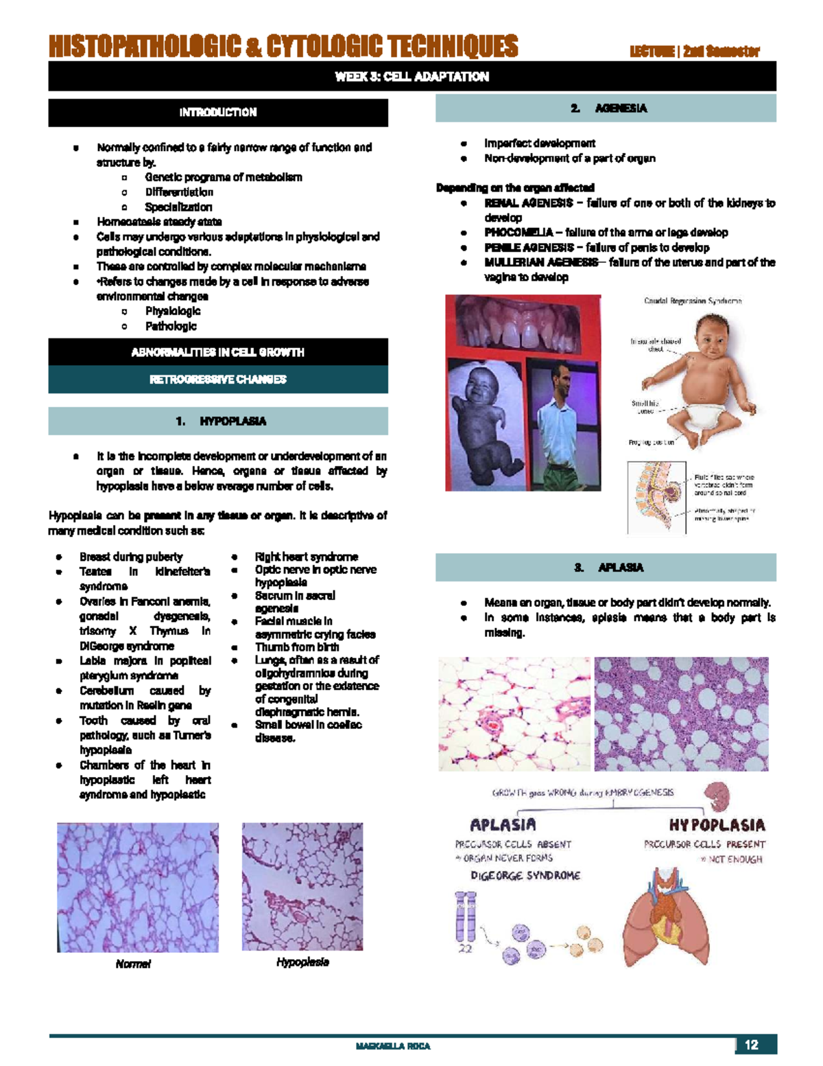 HPCT - Lecture 3: Cell Adaptation and Abnormal Growth Mechanisms - Studocu