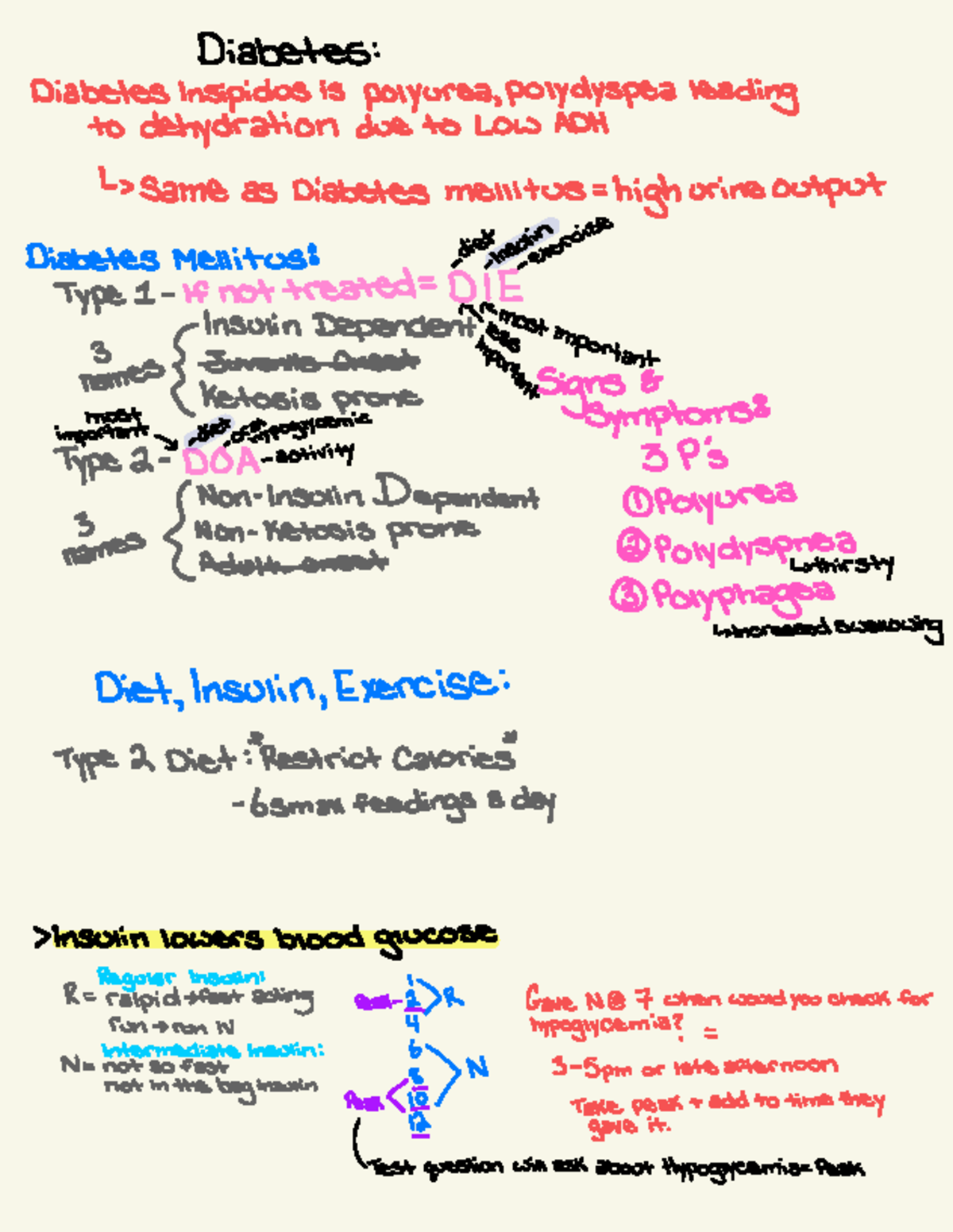 Diabetes - Summary Practical Nursing Theory 2 - Diabetes ...