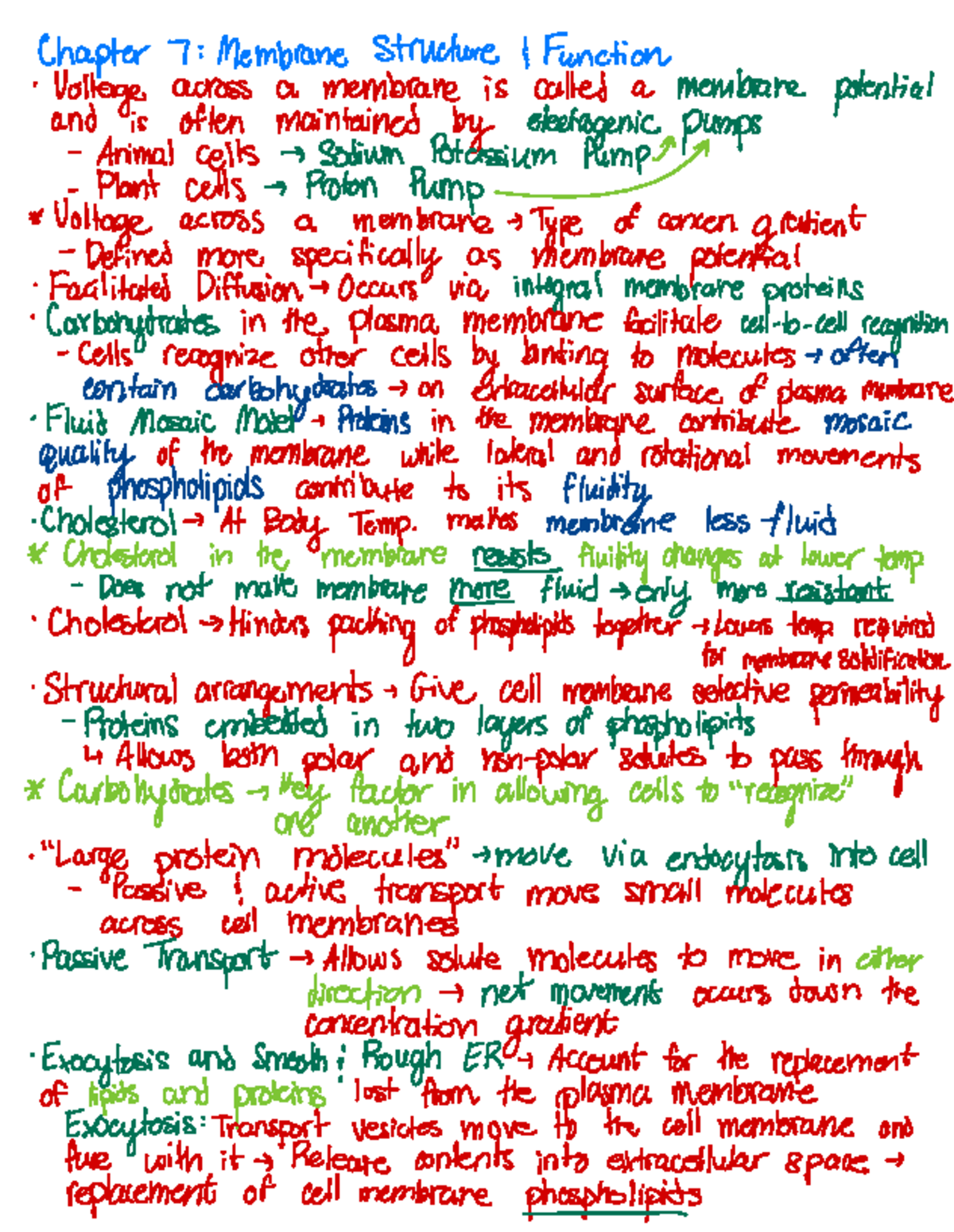 Chapter 7: Membrane Structure & Function in Animal and Plant Cells - Studocu