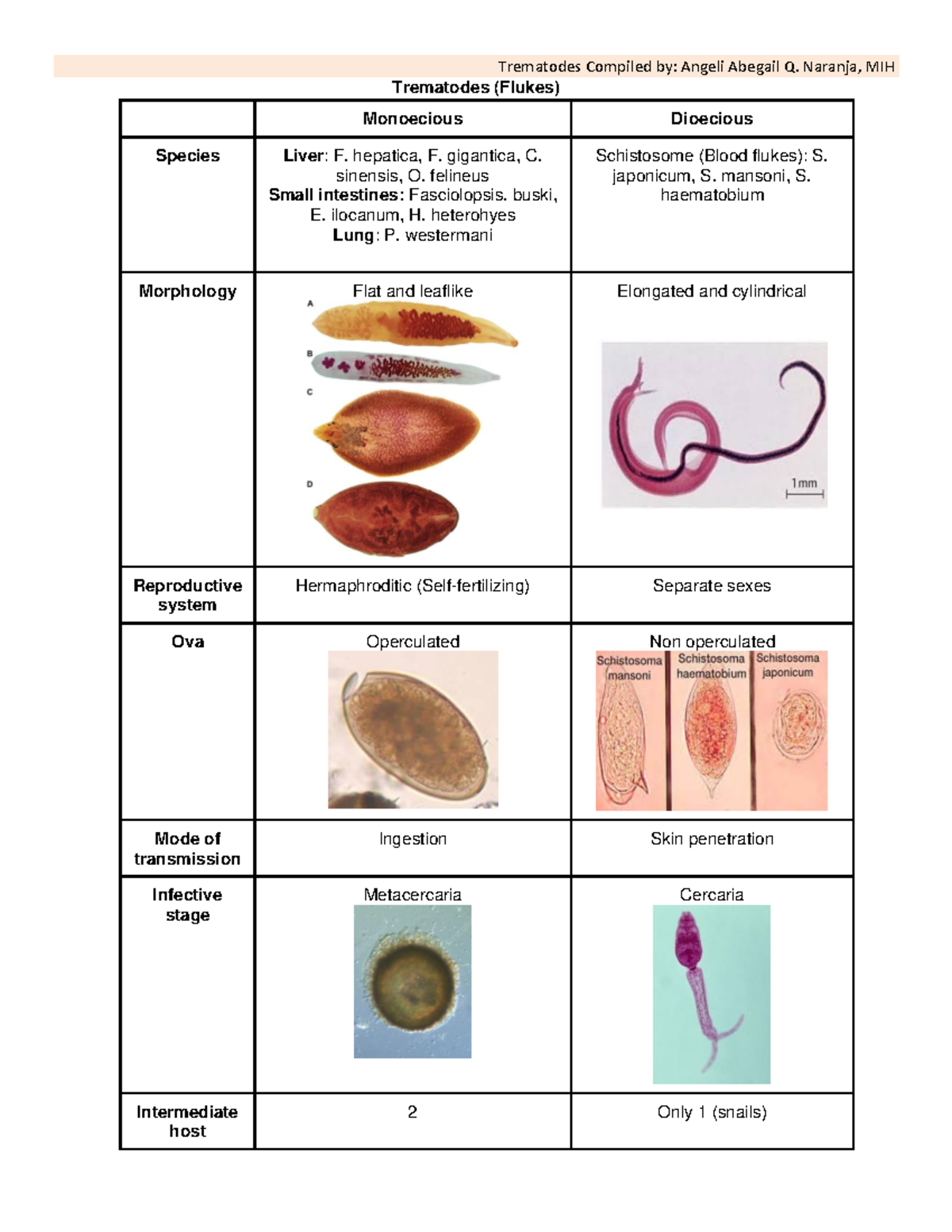 Trematodes - goodluck - Parasitology - FEU - Studocu
