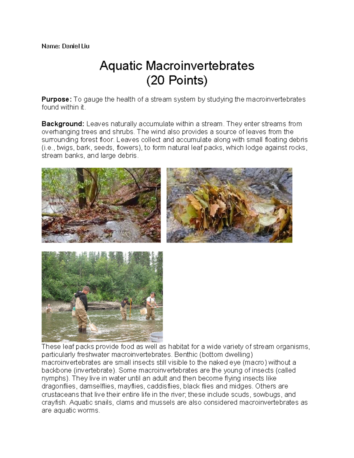 Aquatic Macroinvertebrate Lab (DL) (W21) - Name: Daniel Liu Aquatic ...