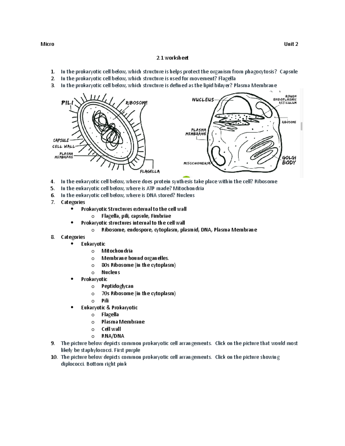 Micro Unit 2 Worksheets: Prokaryotic & Eukaryotic Cell Structures - Studocu