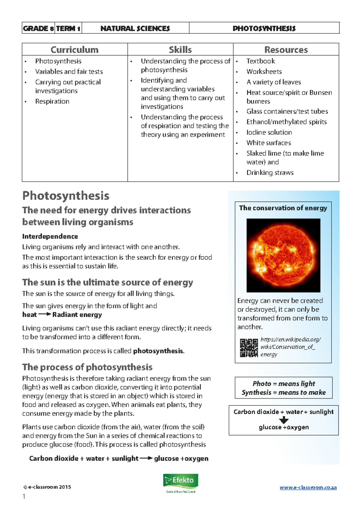 GRADE 8 TERM 1 NATURAL SCIENCES: PHOTOSYNTHESIS & VARIABLES Worksheet ...