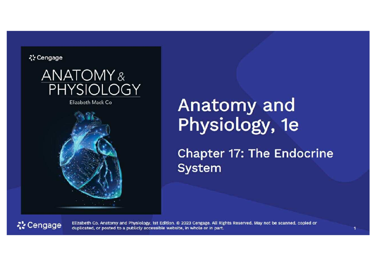 Anatomy and Physiology, 1e: Chapter 17 - The Endocrine System Overview ...