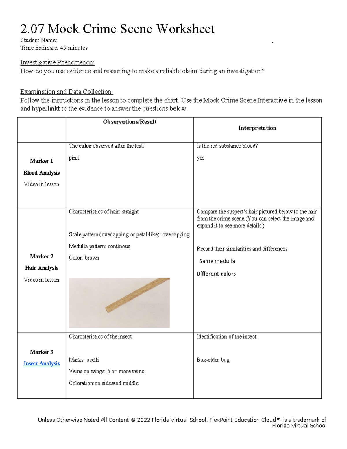 2 - Mock Crime Scene Worksheet for Investigation Analysis - Studocu