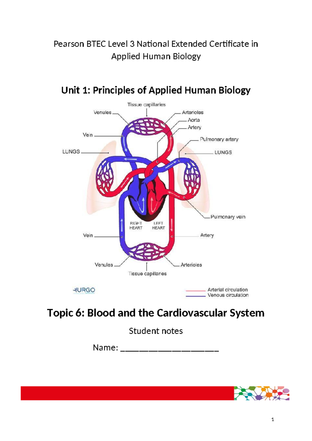 BTEC Level 3 Applied Human Biology Unit 1: Blood & Cardiovascular ...