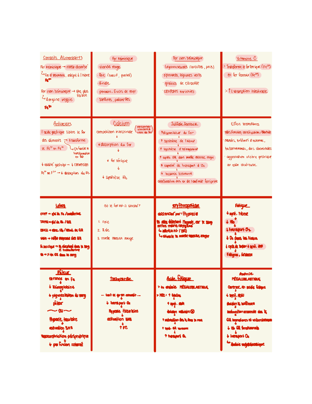 Révision sur l'Hémoglobine et les Globules Rouges - Biologie 101 - Studocu