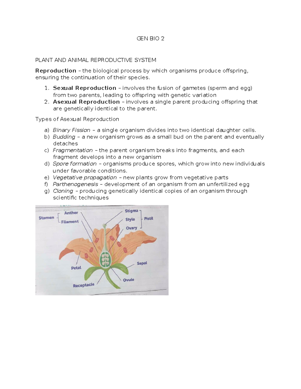 GEN BIO 2: PLANT AND ANIMAL REPRODUCTIVE SYSTEMS OVERVIEW - Studocu
