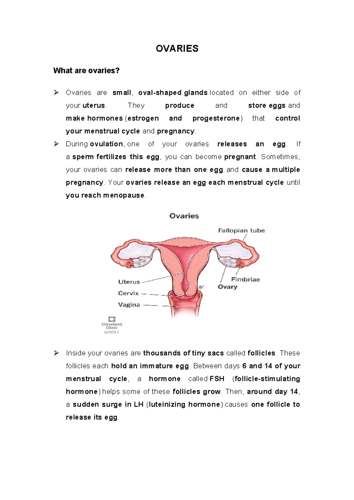 Ovaries: Understanding Their Function and Anatomy - Studocu