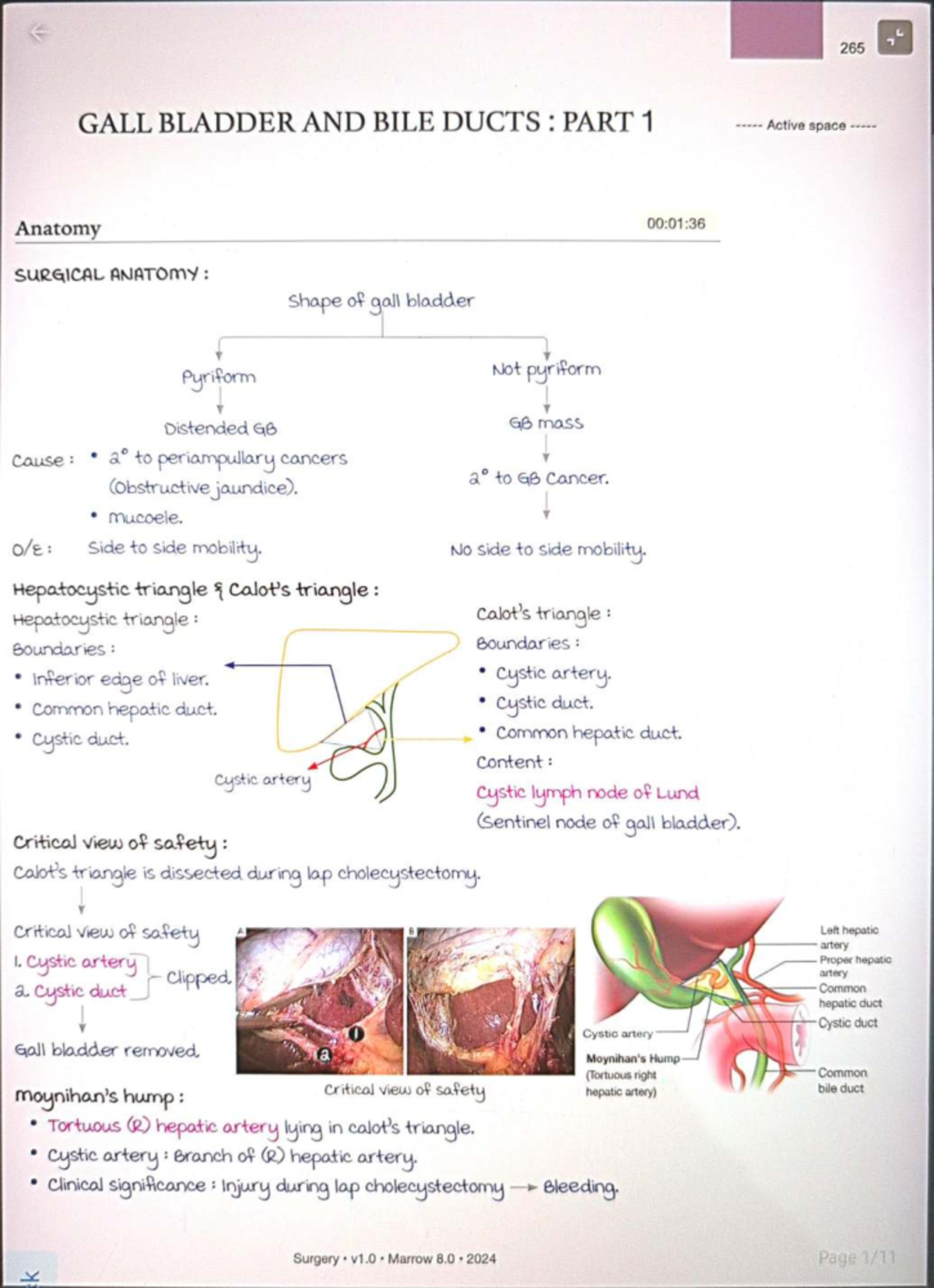Gall Bladder and Bile Ducts: Surgical Anatomy and Management (265 ...