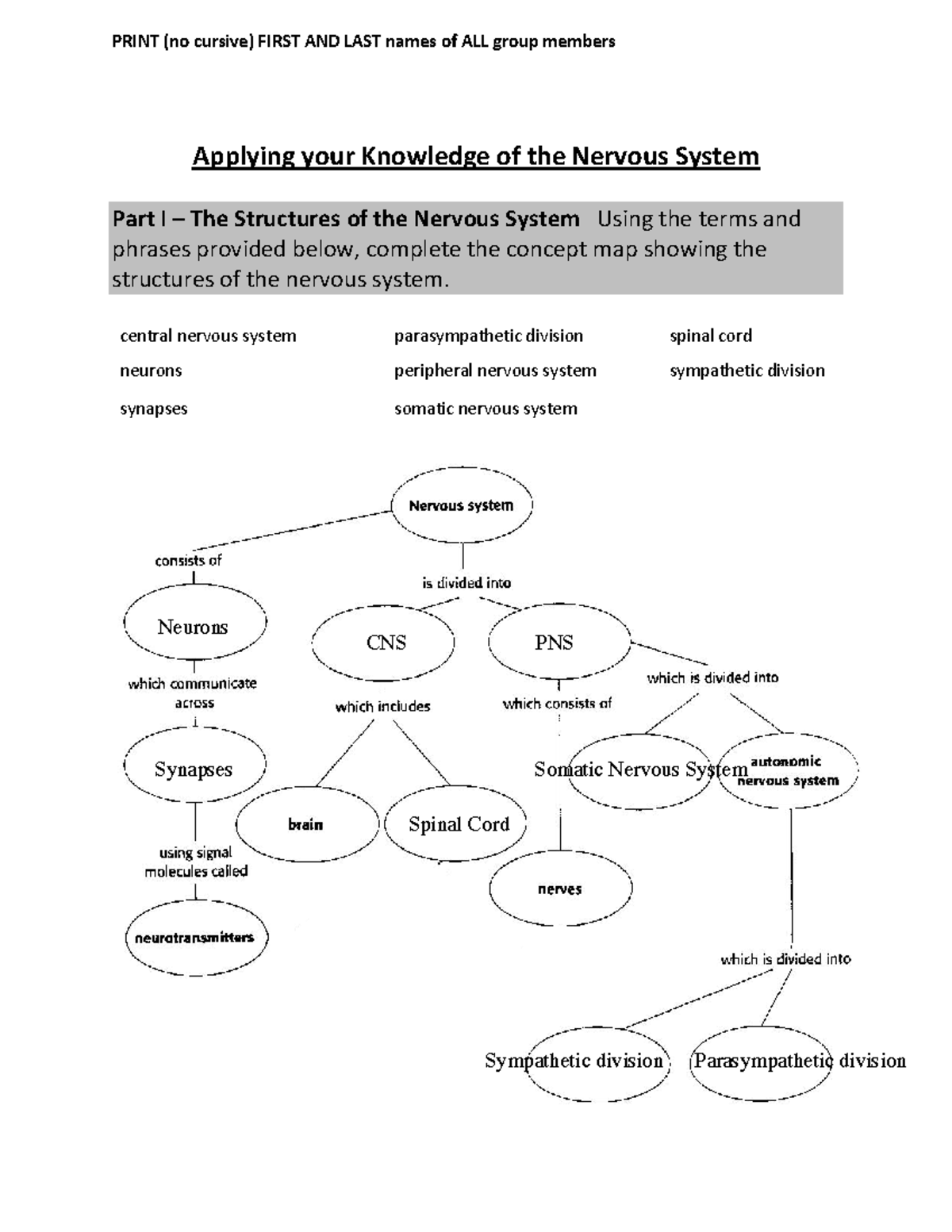 NBS 101: Exploring Brain, Behavior, and the Nervous System Concepts ...