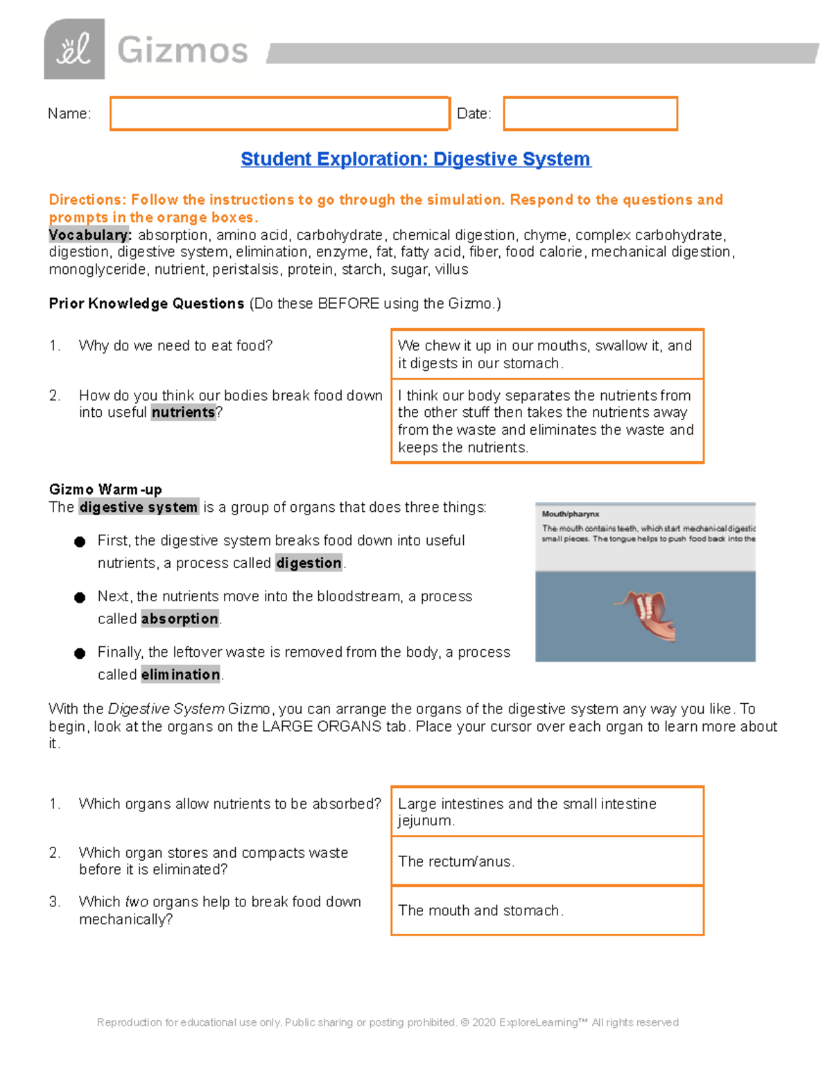 Explore Learning Gizmo - Digestive System Activity A - Name: Date ...
