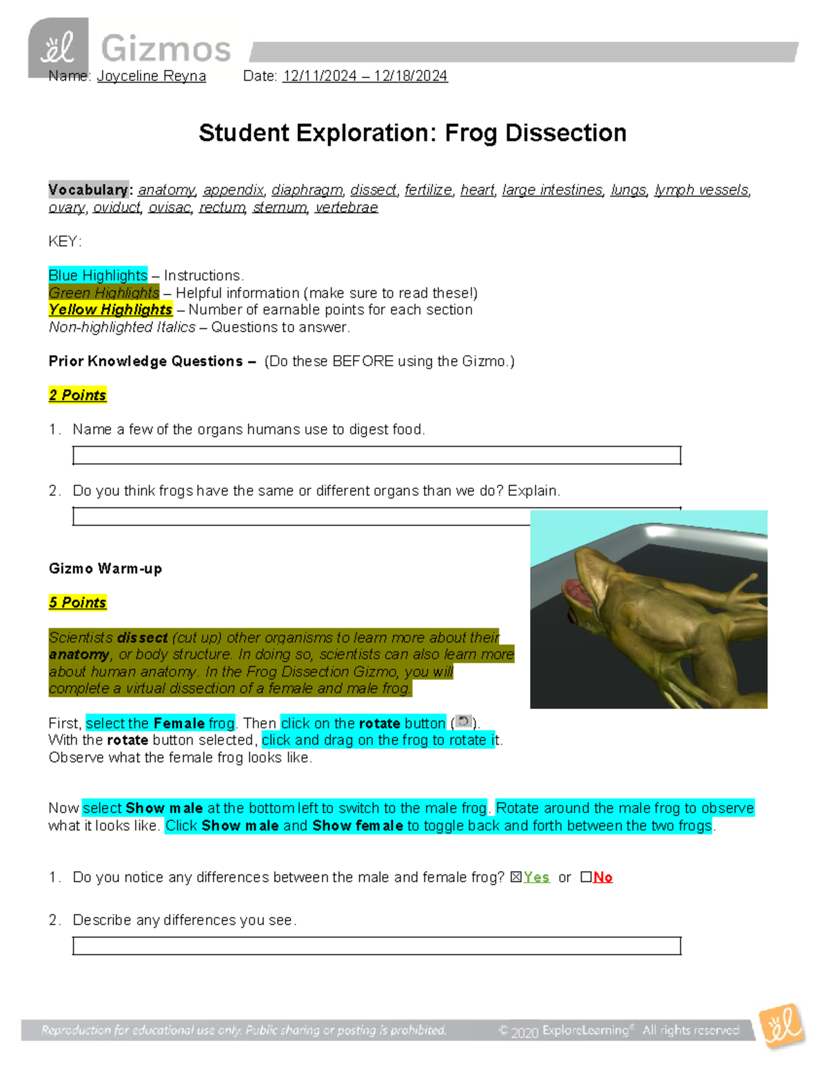 Frog Dissection Lab Exploration: Gizmo Activities & Insights - Studocu