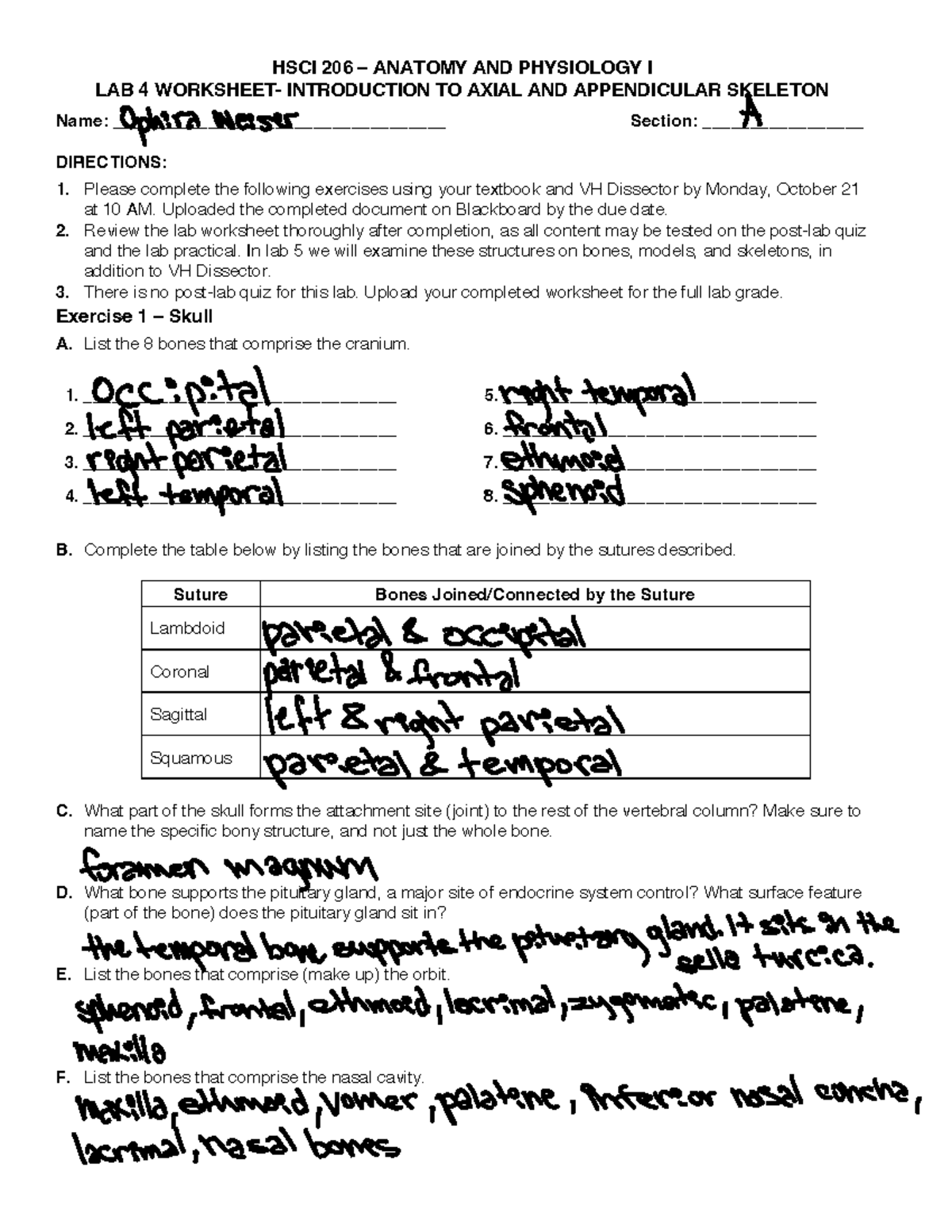 HSCI 206 Lab 4 Worksheet: Anatomy of Axial & Appendicular Skeleton ...