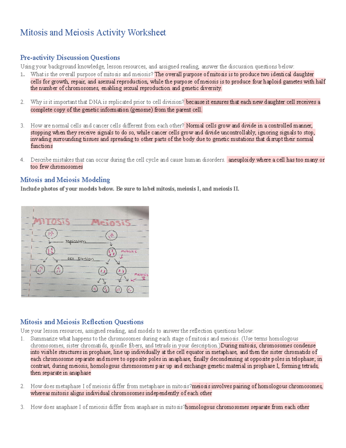 05 01 Mitosis & Meiosis Activity Worksheet: Key Concepts & Reflections ...