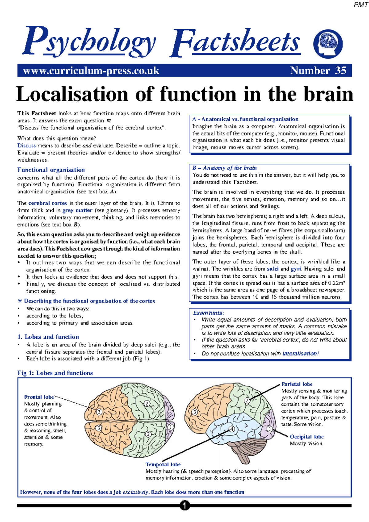 Final Exam: Brain Localisation and Function in Psychology (PSY 101 ...