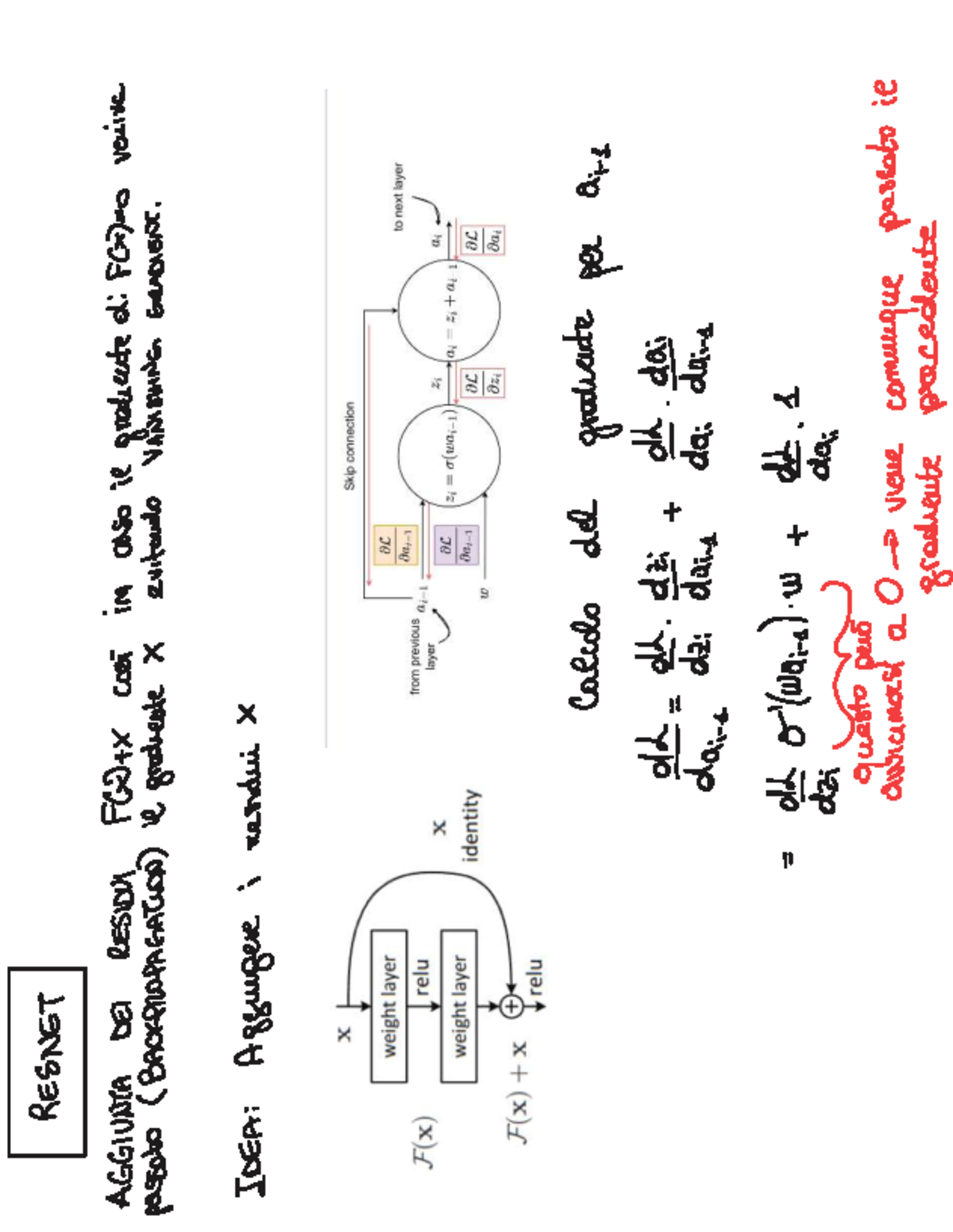 Deep Learning: ResNet Residuals and Backpropagation Techniques - Studocu