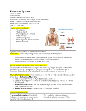 [Solved] The structure labelled C in this image is the heart Its position - Principles of Human ...