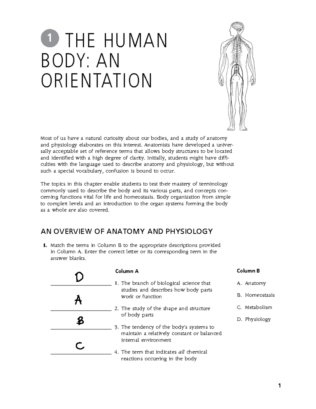 The Human Body: An Orientation - Anatomy & Physiology - Studocu