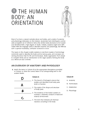 Lab Practical 1 practice guide - Lab Practical I – Labs 1- 1 List the 7 ...