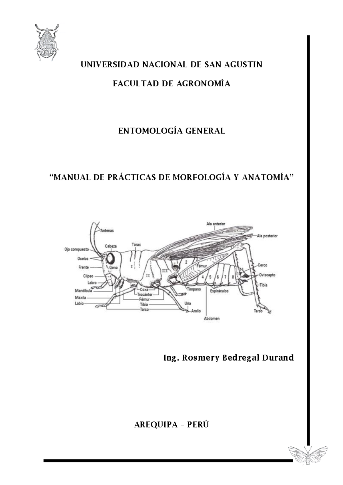 Guía de Morfología y Anatomía de Insectos - Entomología General - Studocu