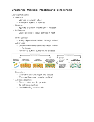[Solved] explain redox tower - Microbiology (BIOL 306) - Studocu
