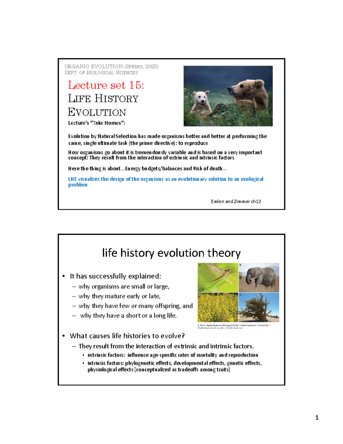 Organic Evolution Lecture Set 15: Life History Evolution (Spring 2025 ...