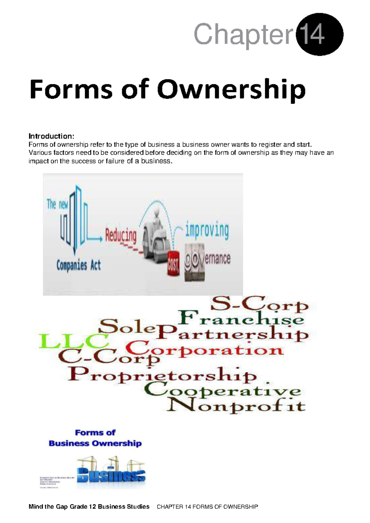 Grade 12 DBE Final Exam Study Notes on Chapter 14: Forms of Ownership ...
