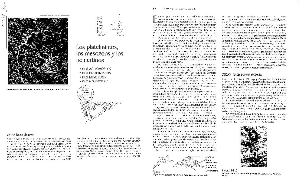 Zoología de Hickman: Platelmintos, Mesozoos y Nemertinos - Studocu
