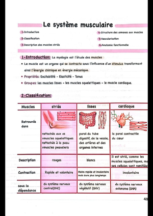 1. Anatomie-du-pharynx (By K - Anatomie du pharynx TH3 Anat ORL - D ...
