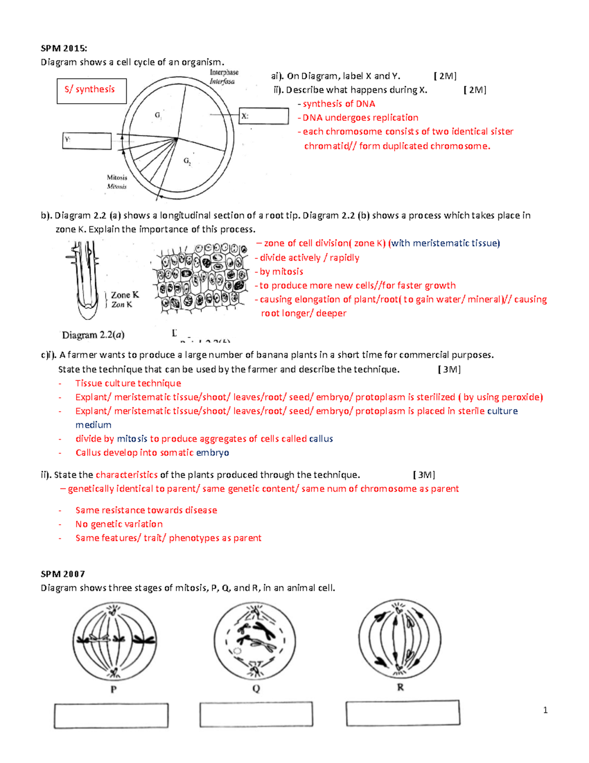 SPM 2015 & 2010: Cell Cycle, Mitosis, and Genetic Variation Exercises ...