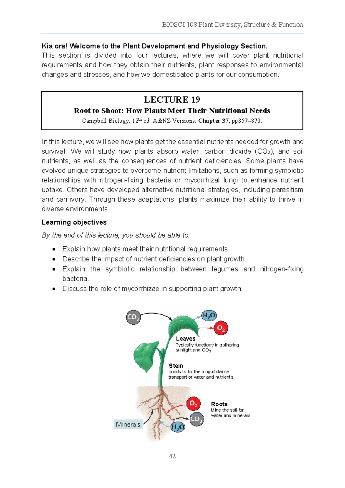 BIOSCI 108 Plant Diversity: Lectures on Plant Development & Physiology ...