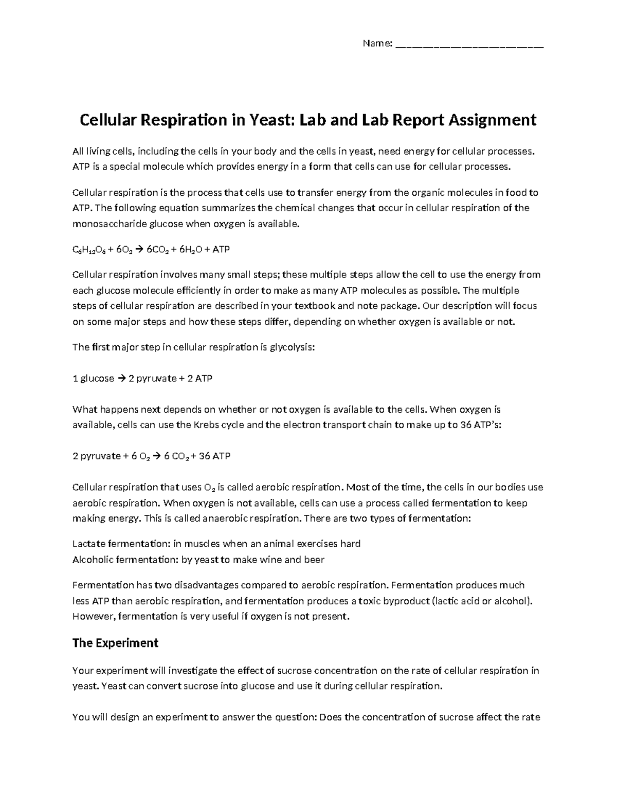 Cellular Respiration in Yeast: Lab Report (2023) - Studocu
