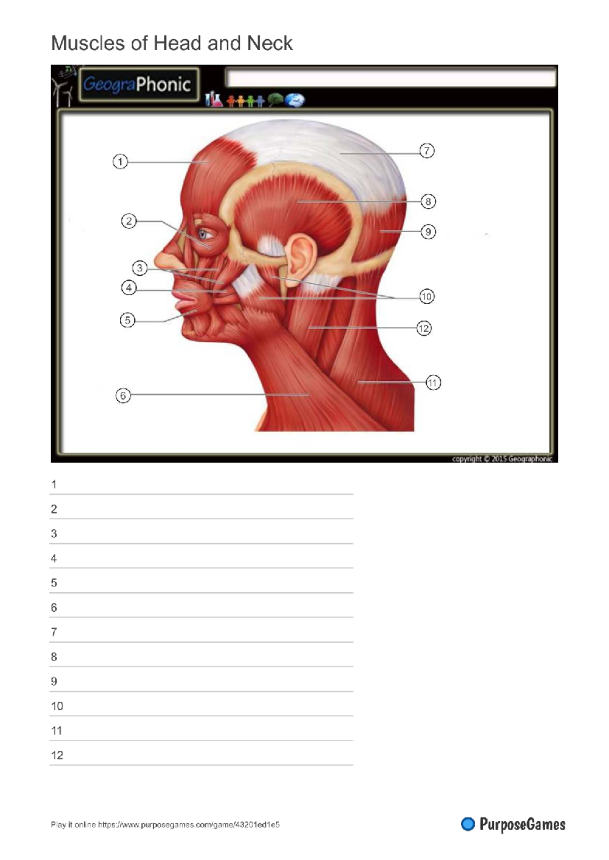 Muscles of Head and Neck - Worksheet 2 (GeograPhonic 7) - Studocu