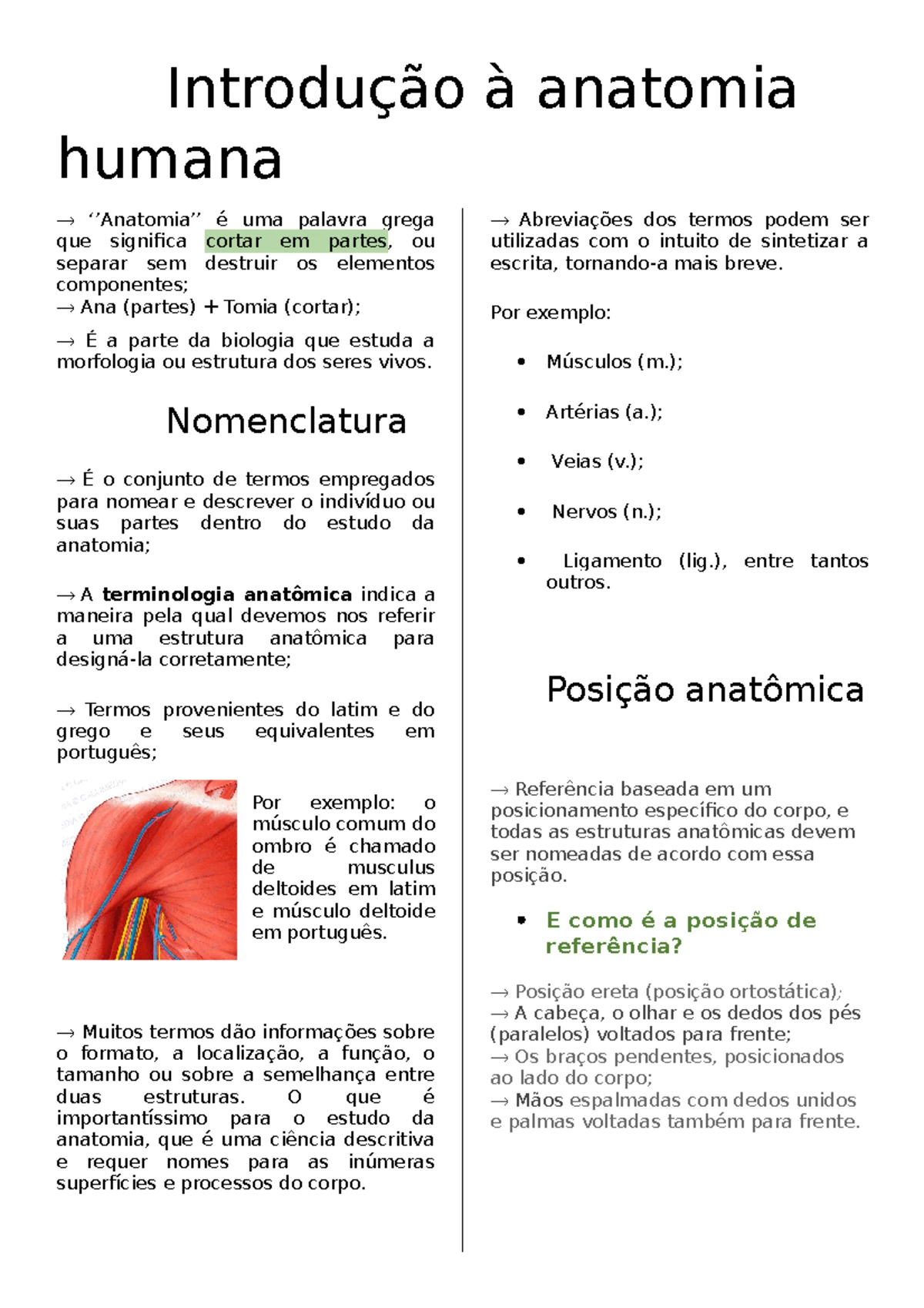 Introdução À Anatomia - aula 1 - CONSIDERAÇÕES GERAIS A anatomia é a ...